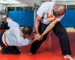 VAJ-The Training | VEE ARNIS JITSU